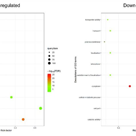 Gene Ontology Enrichment Analysis Go Enrichment Analysis Of Deps