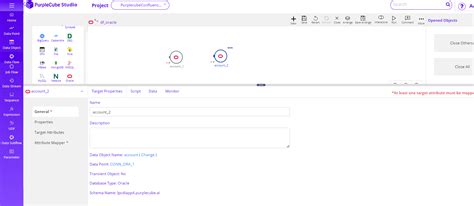 Working With Oracle Target Instance Transform Working With Oracle Target Instance Transform