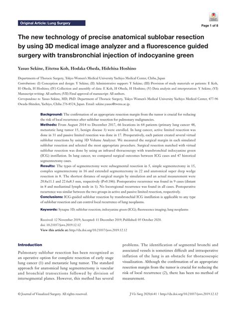 Pdf The New Technology Of Precise Anatomical Sublobar Resection By Using 3d Medical Image