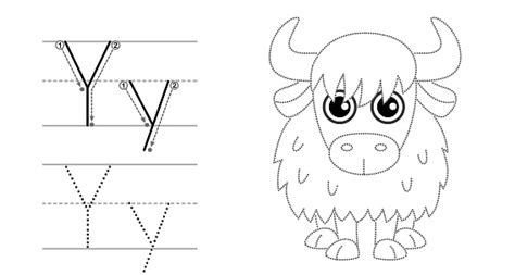 문자를 추적하고 그림을 추적하고 색칠합니다 교육 아이들은 게임을 추적합니다 알파벳색칠하기 편지 Y와 재미 야크 야크에 대한 스톡