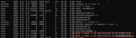 webshell攻击追踪与防御策略分析 csdn博客