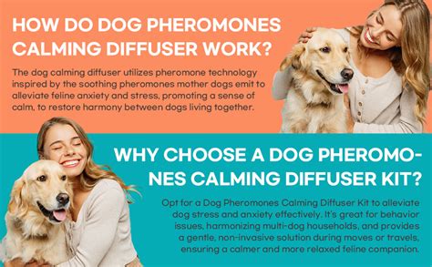 Proelobara Dog Calming Pheromone Diffuser Dog Calming Pheromones Plug Diffuser