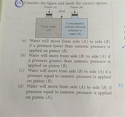 Consider The Figure And Mark The Correct Option Filo