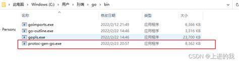golang安装protobuf 2022最新安装教程 windows windows protobuf 3 19 4下载 csdn博客