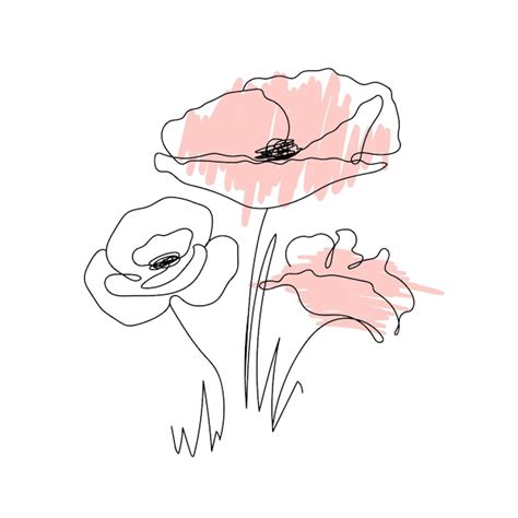 Premium Vector Poppies Flower Continuous Line Drawing