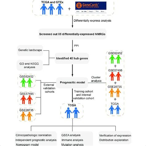 Consensus Clustering A Cumulative Distribution Function Cdf Curve Download Scientific