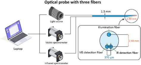 Schematic Of Fibere Optical Probe Spectroscopy Download Scientific Diagram