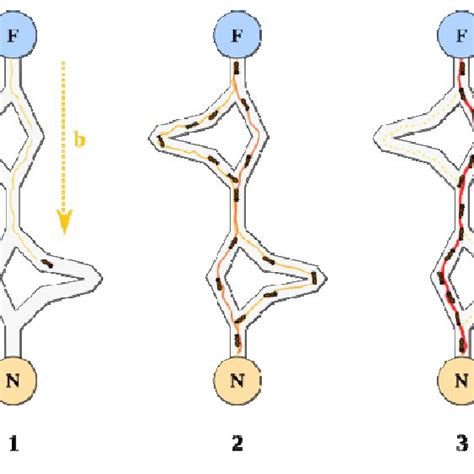 Mechanism Of ACO Algorithmn Download Scientific Diagram