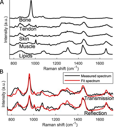 Spectral Library And Fitting A Library Composed Of Spectra Collected Download Scientific