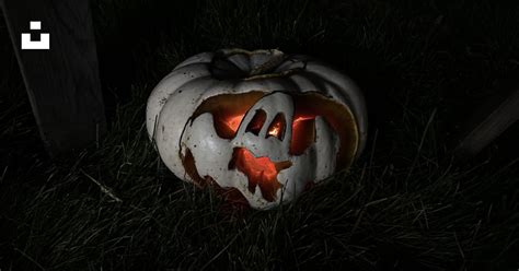 풀밭에 앉아 있는 불이 켜진 호박 사진 Unsplash의 무료 할로윈 이미지