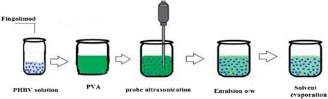 Scheme 1 Schematic Representation Of The Single Emulsion Evaporation