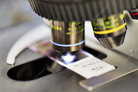 Light Microscope Use Stock Image C Science Photo Library