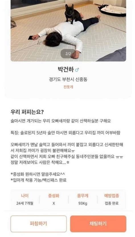 친오빠를 판매한 여동생 유머 움짤 이슈 에펨코리아