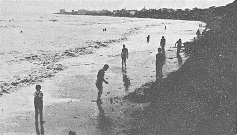 Marinarii Nostri Peninsula Constanta Vazuta Din Avion Vara La Plaja