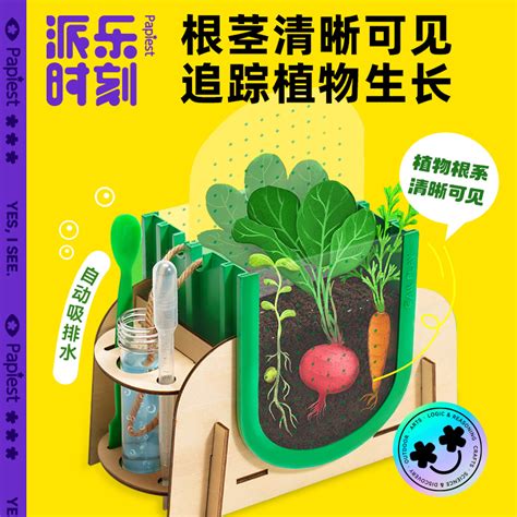 派乐时刻植物种植观察盒窗儿童种植阳光房学生科学小实验套装种子发芽生物实验设备箱学习用具用品礼盒套装 虎窝淘