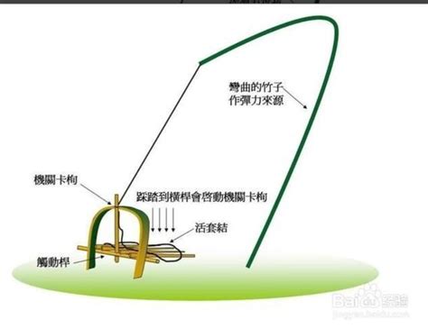 詩經兔罝與閎夭 每日頭條