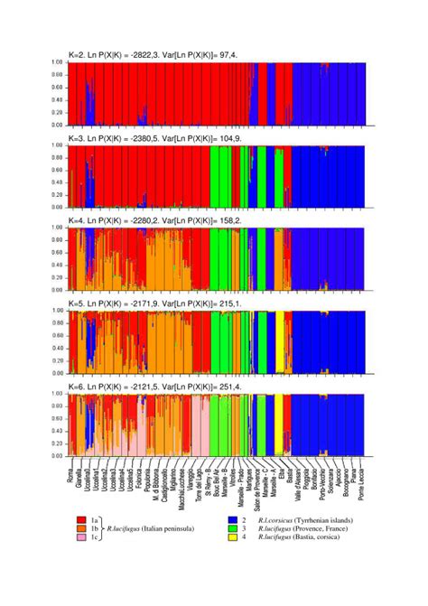 Estimated Population Structure Using Microsatellite Genotyping Download Scientific Diagram