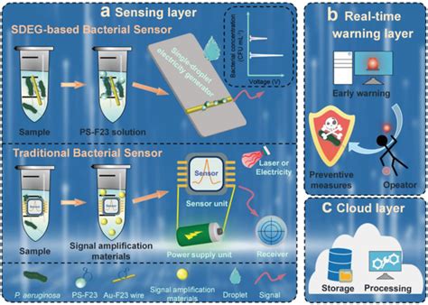 Schematic Illustration Of The Sdeg‐based Bacterial Biosensor And Its Download Scientific