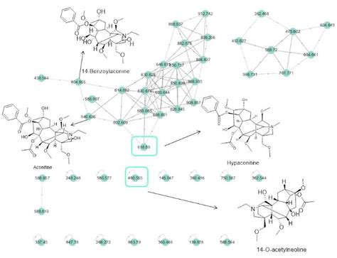 2d hplc ms technology combined with molecular network for the
