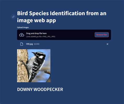 Image Based Bird Species Identification Using Machine Learning Projectworlds Store