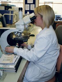 Introduction To Histology Openlearn Open University