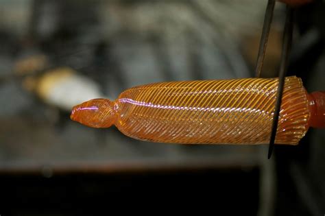 Featured Artist Ben Sharp July 23 2012 6 Photo By Ken Emly