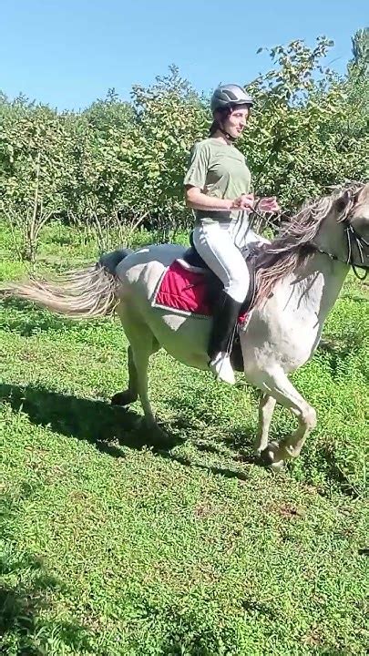 ცხენზე ჯირითი განტვირთვის საუკეთესო საშუალებაა 🐎🐎 Youtube