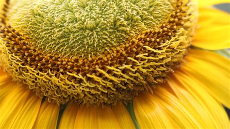 Belajar Melakukan Pemrograman Java Untuk Pemula Haryandi