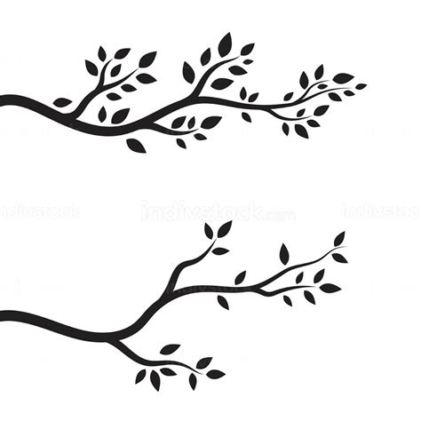 Tree Branch Vector Ilustration Indivstock