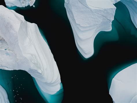 Bioscience Features Resist Accept Direct Rad Framework — Alaska