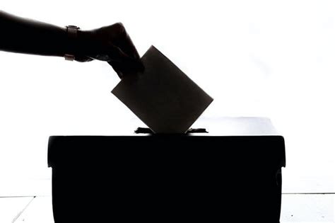 Open Source Politics 11 Libre Voting Solutions