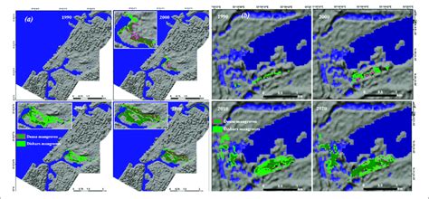 Spatiotemporal Variation Of Mangrove Forests On The Coastal Area Of