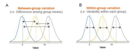 Module 9 Simple Anova Repeated Measures Anova Flashcards Quizlet