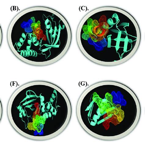 Interpretation Of Cellular And Sub Cellular Localization Through Cello
