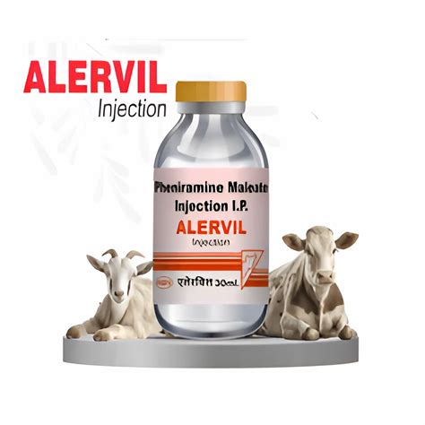Pheniramine Maleate Injection At ₹ 700strip Pheniramine Maleate