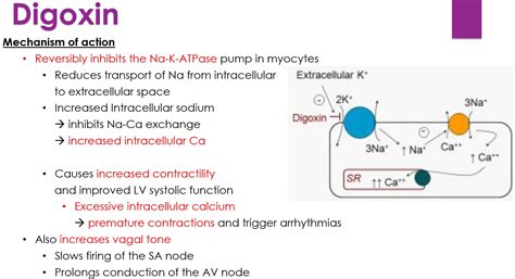 Digoxin Antidote Mytereading