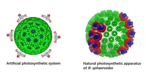 New Photocatalytic System Converts Carbon Dio Eurekalert