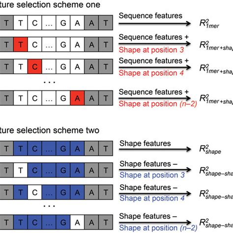 Schematic Representation Of Feature Selection Process A Download Scientific Diagram