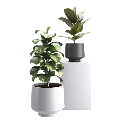 Plants Set 02 378102 3d Model Download 3d Model Plants Set 02