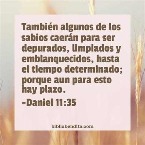 Explicación Daniel 1135 También Algunos De Los Sabios Caerán Para