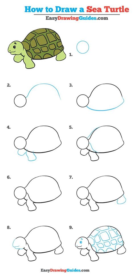 How To Draw A Sea Turtle Easy Step By Step Tutorial