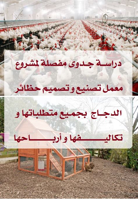 كتاب دراسة جدوى مفصلة لمشروع معمل تصنيع و تصميم حظائر الدجاج بجميع متطلباتها و تكاليفها و أرباحها