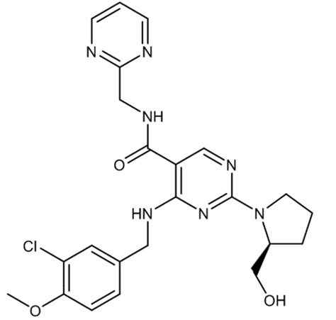 Erectile Dysfunction Flashcards Quizlet