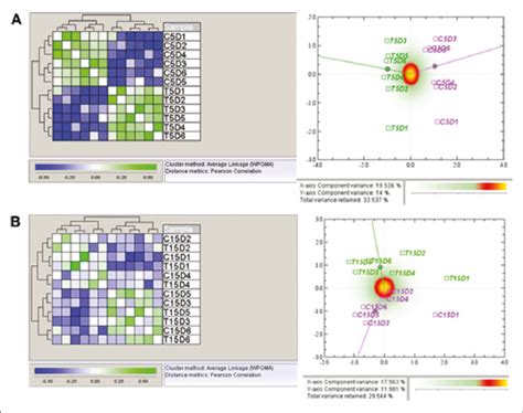 Global Views Of Whole Data Set A Hierarchical Clustering Left And