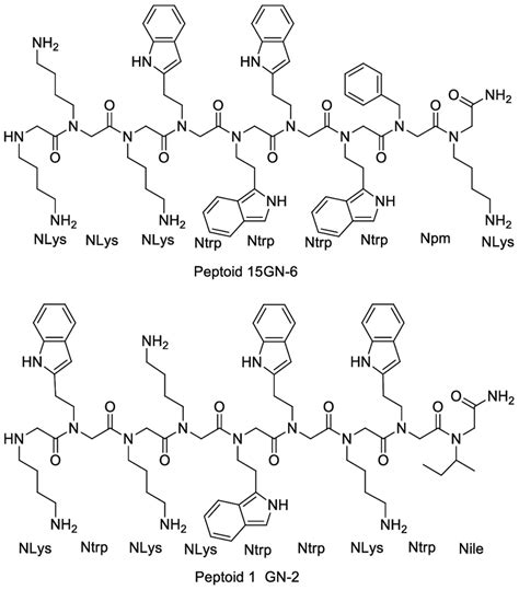 2d Structures Of Peptoid 4 Peptoid 15 And Peptoid 1 Download Scientific Diagram