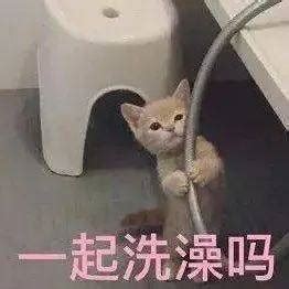 分享洗澡的正确顺序先洗头还是先洗脸 时候 淋浴 头发