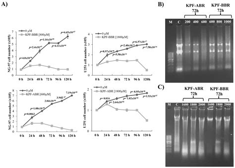 Kaempferol And Biomodified Kaempferol From Sophora Japonica Extract As Potential Sources Of Anti