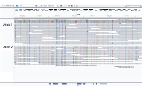 Illumina Complete Long Reads Portfolio