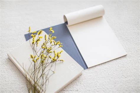 [노트 위 노란꽃] 대한민국 No 1 감성채널 얼라우투