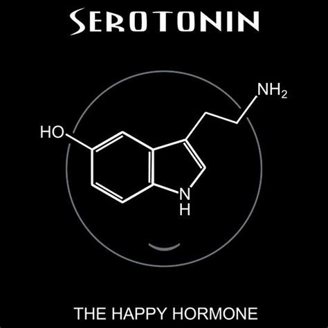 The Happy Hormone Serotonin Is Shown In This Black And White Poster
